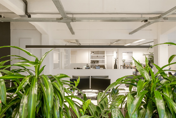 The Reference, un'agenzia digitale belga specializzata in consulenza di marketing, brilla più ...